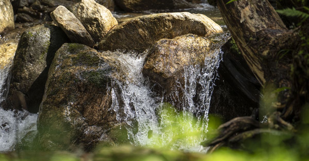 Naturschutz - ROTTEN ROCK FEST 2025